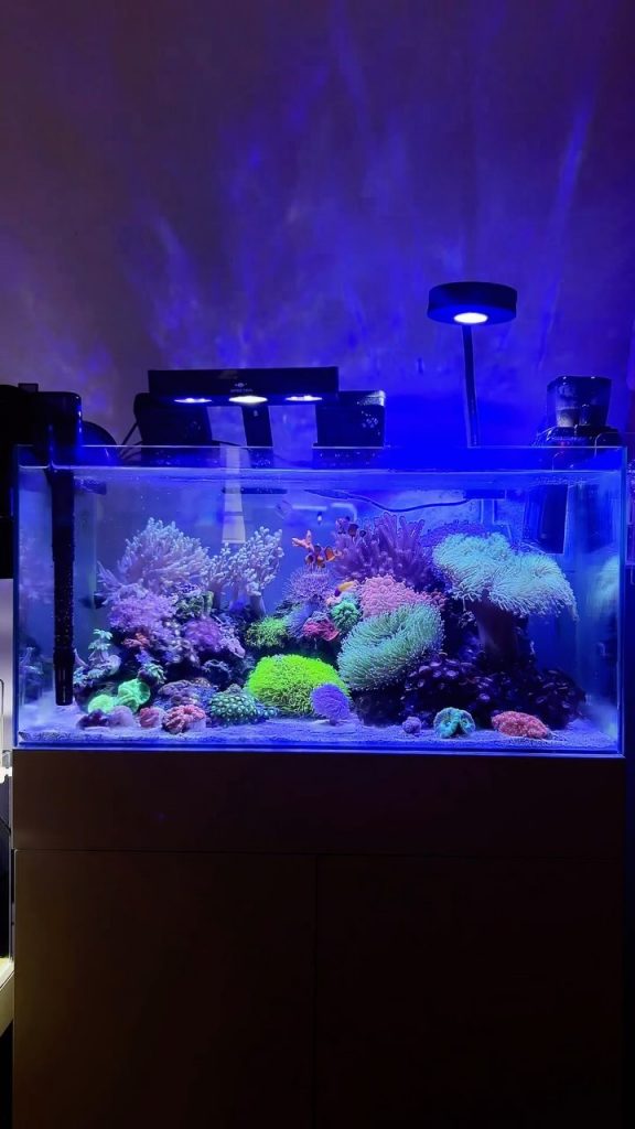 Tang Weng Hong (@simplelifeofkung) - Instagram - Storify photos and ...