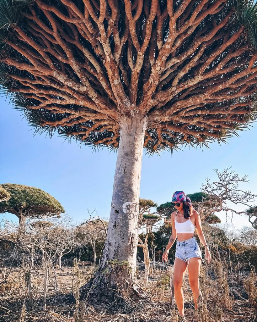 Shirlene 🌴🏔️🌻🎀 (@shirlene.x) - Instagram - Storify photos and videos ...